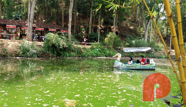 Wisata Boon Pring Kurangi Urbanisasi di Desa Sanankerto Malang – PETISI.CO